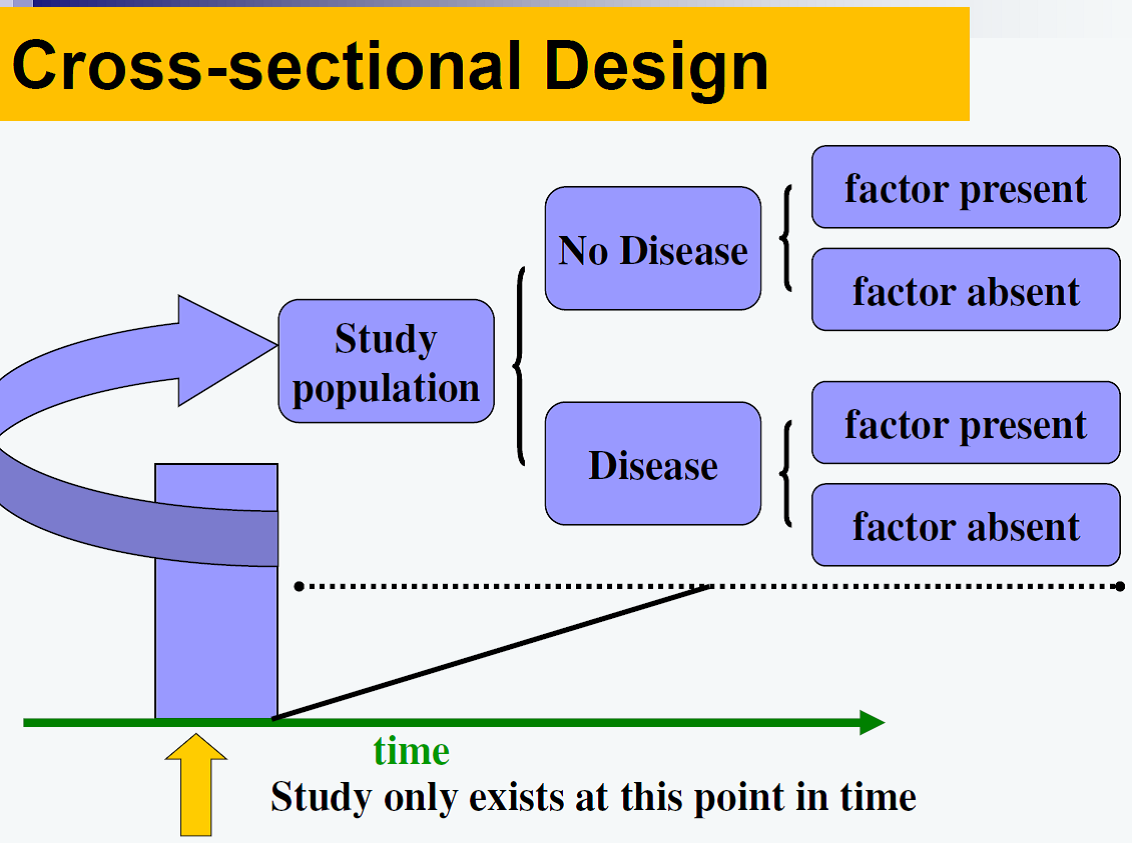 Study Design Observational Study Designs Cross sectional Study 