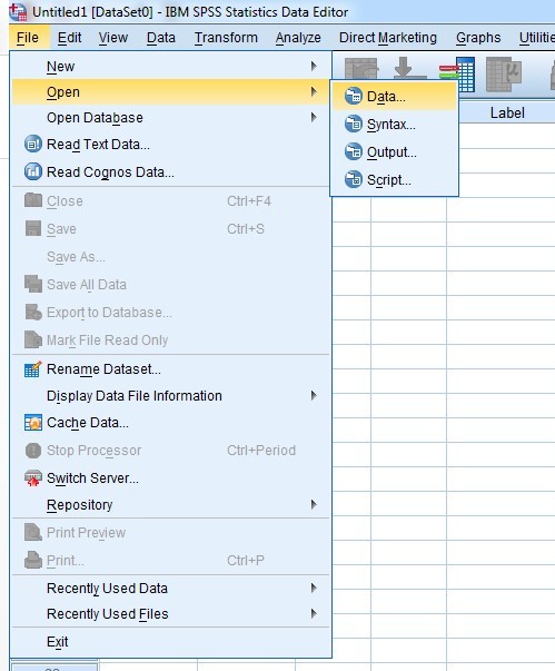 Introduction to SPSS: Opening data - Part 2 | learnonline