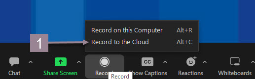 Zoom: Recording video with sound