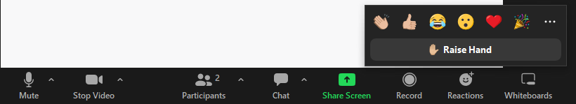 Zoom: Participate in an Online Lecture or Tutorial