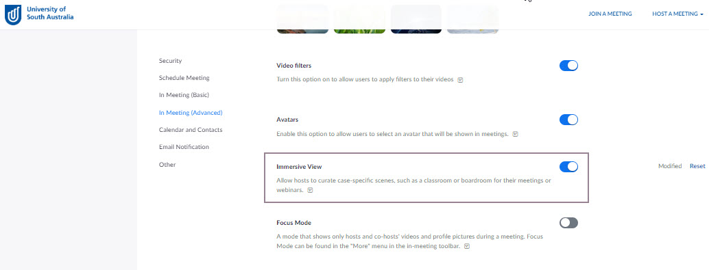Zoom: Immersive View