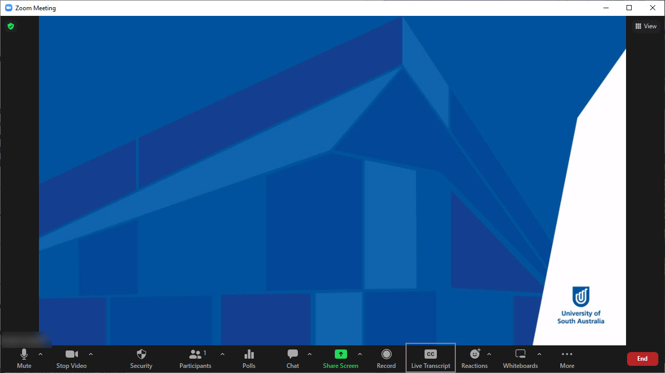 Zoom: Automatic Transcription (Staff)