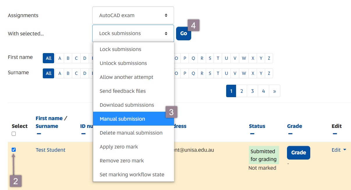 Use Manual Submissions