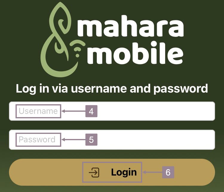 ePortfolio: Mahara on Mobile devices