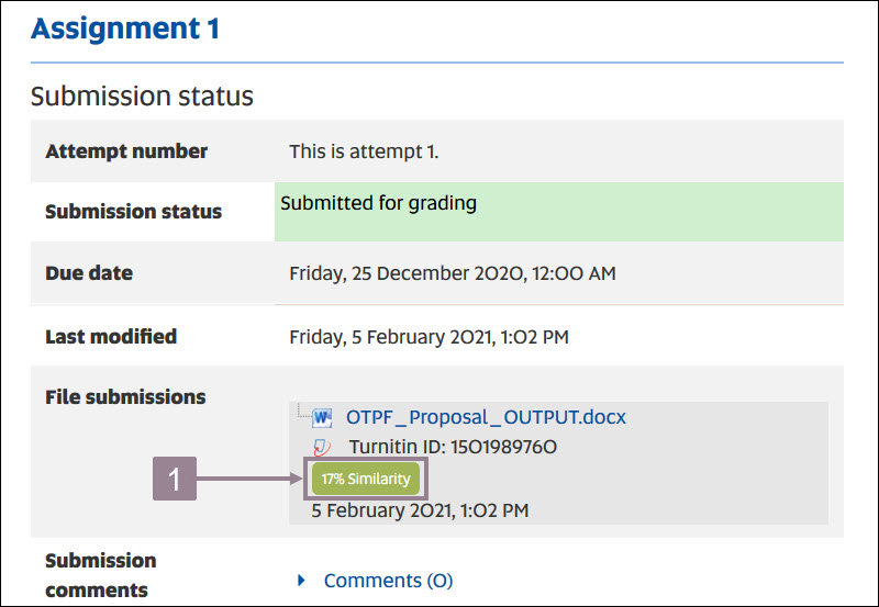 Assessment: Turnitin Originality Report