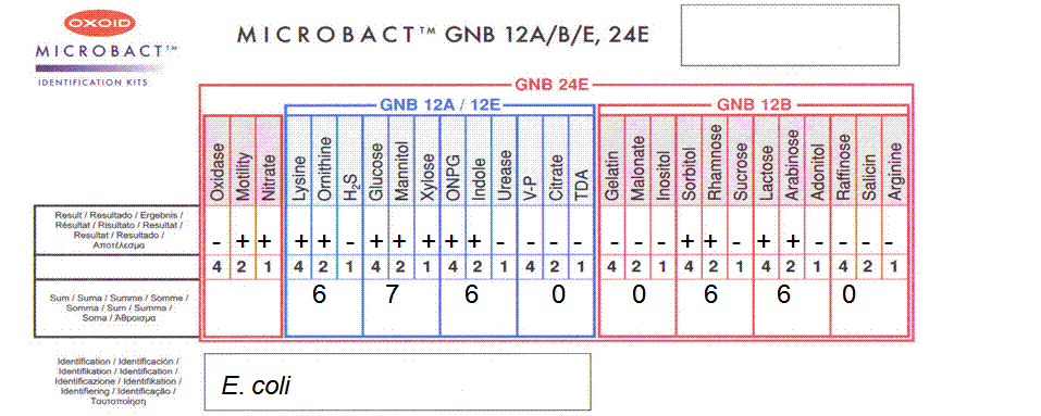 NC00305 (6748): Microbact Gram Negative Identification Kit | learnonline